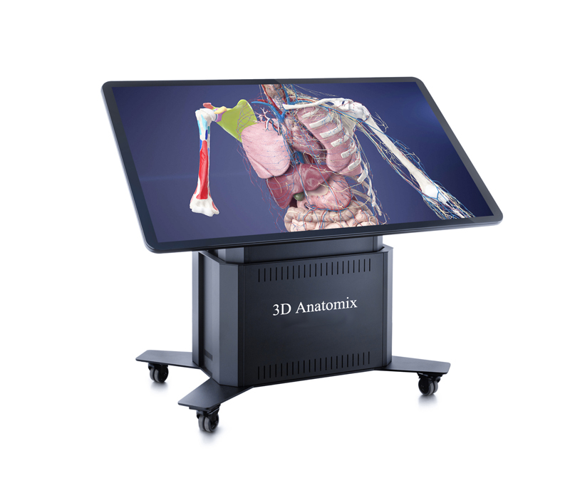 Virtual Dissection Table | Virtual Anatomy Table | Digital Anatomy | 3D ...